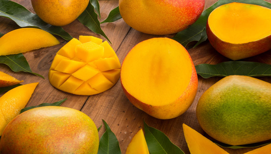 Getting a sweet return on mangoes