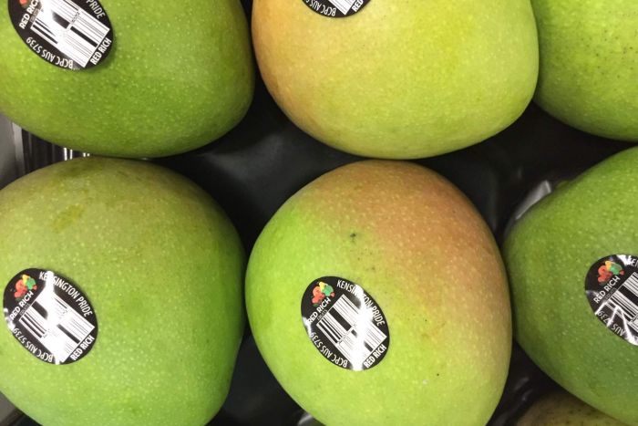 No longer just a summer fruit, NT mangoes hit Sydney and Melbourne ...