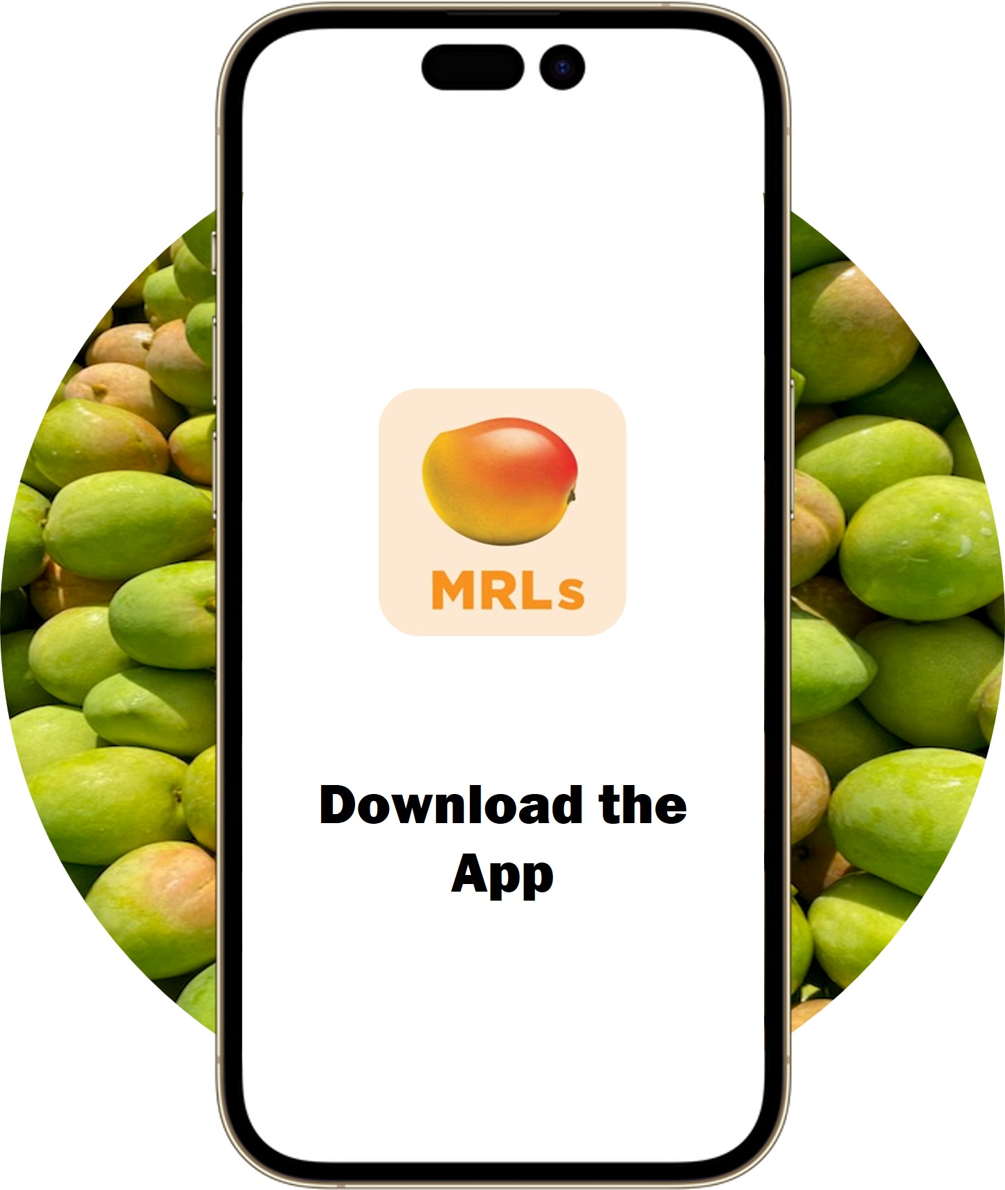 New Mango MRL mobile app