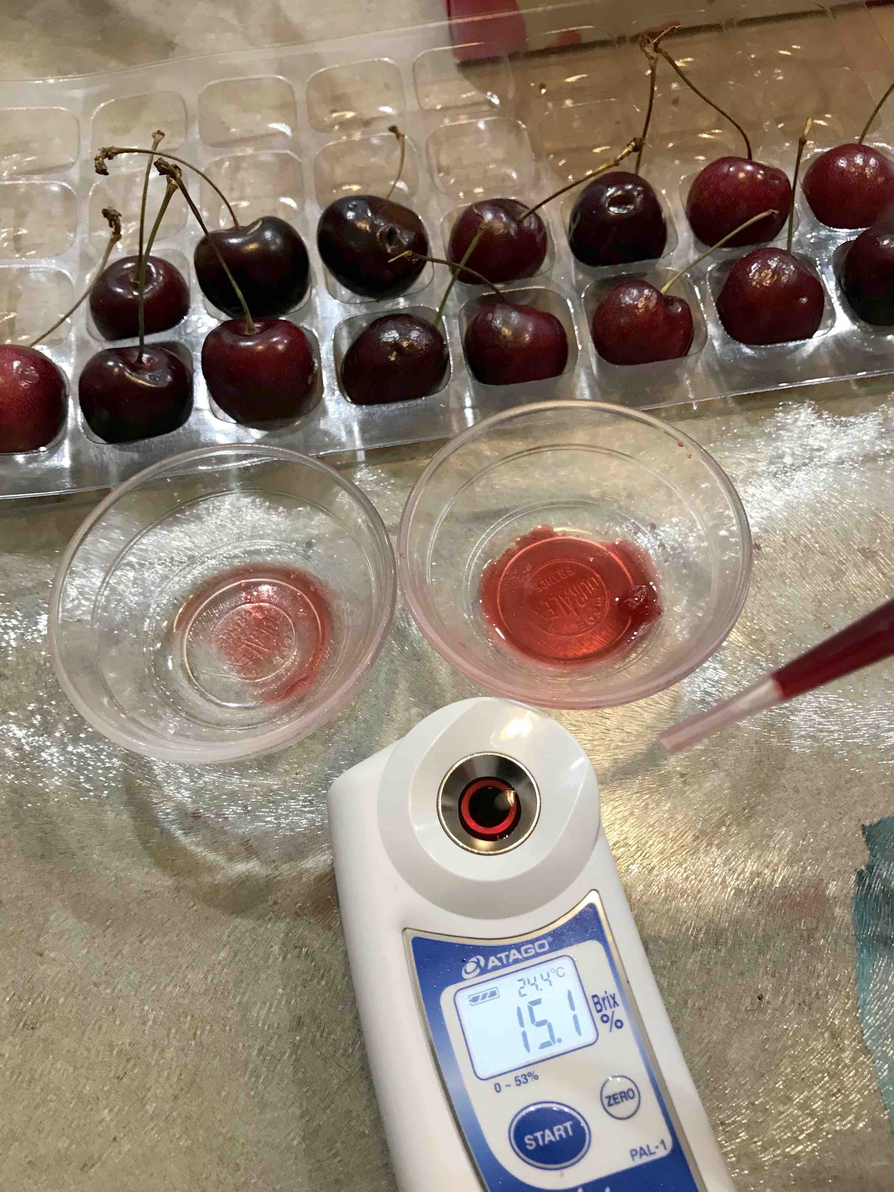 New sensor for measuring sugar levels in cherries