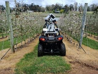 Project to get to the core of new orchard technology