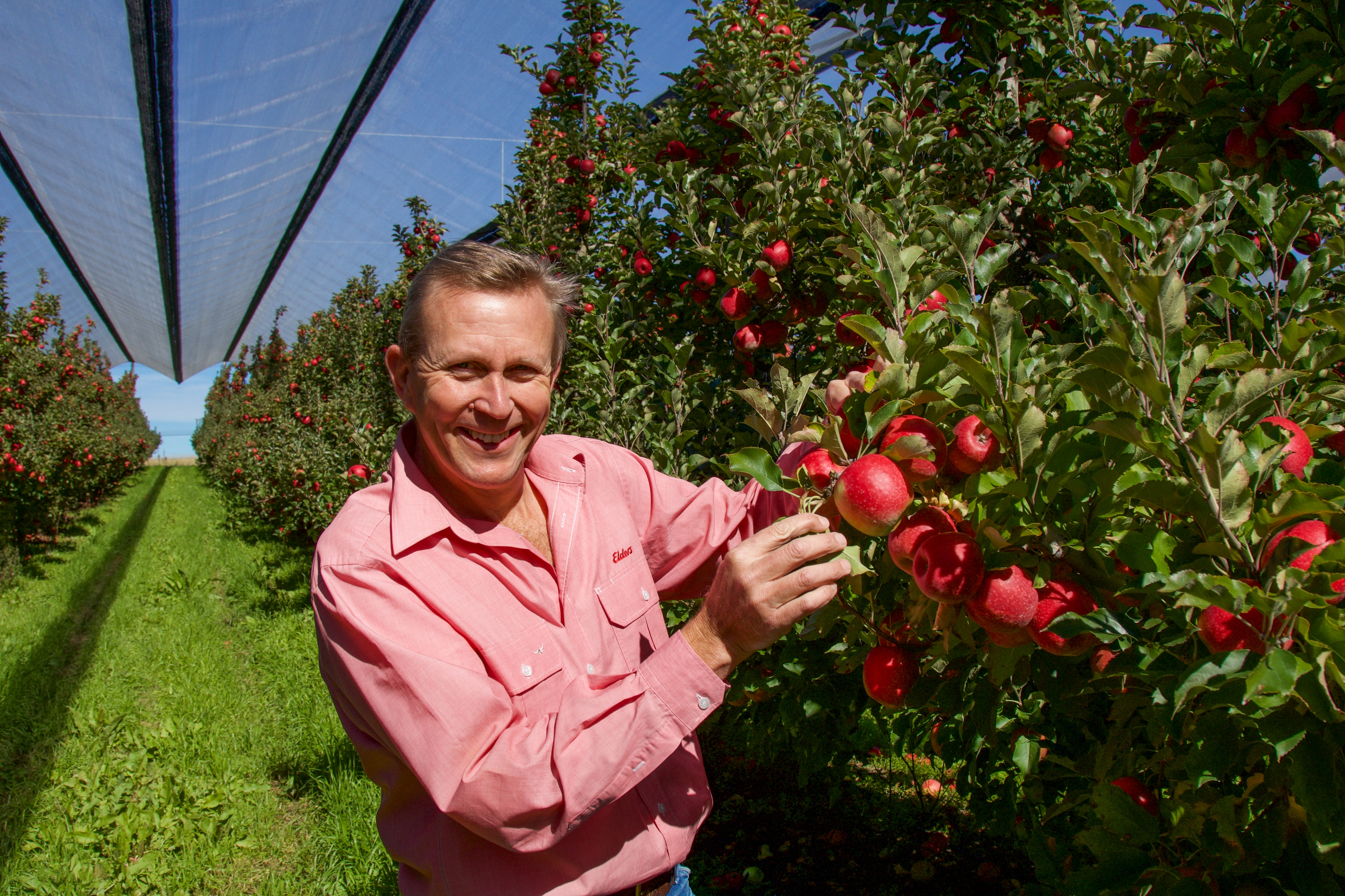 Vayego targets pests but soft on beneficials