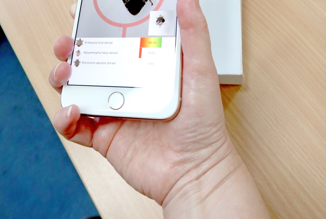 AI trialled for high-risk bug detection