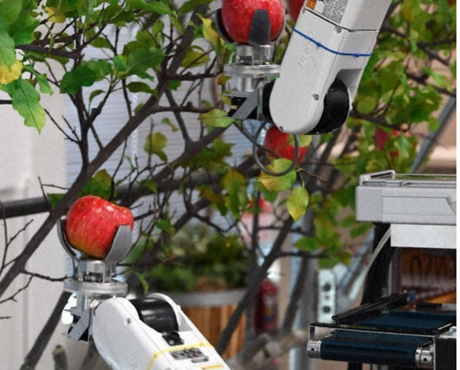 Fruit harvesting AI robot