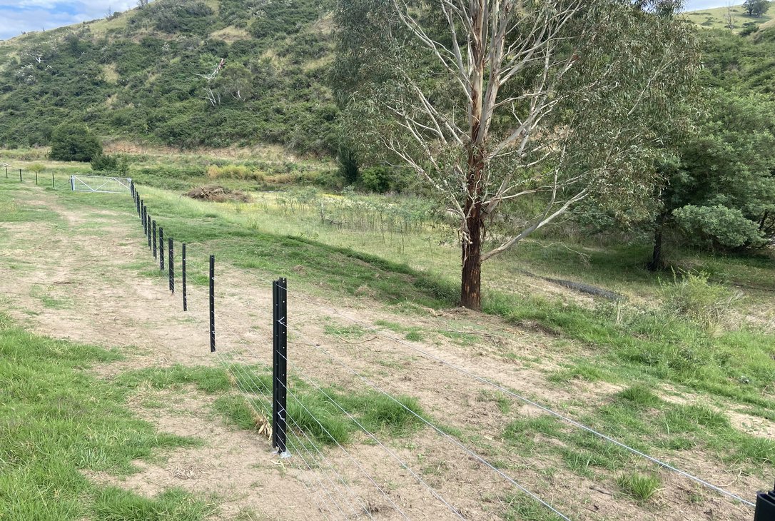 Gallagher protects the nation