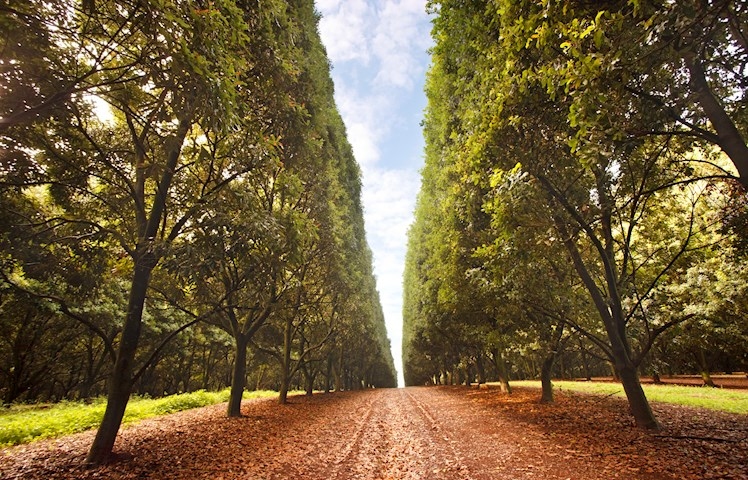 $28 million program to improve farm productivity