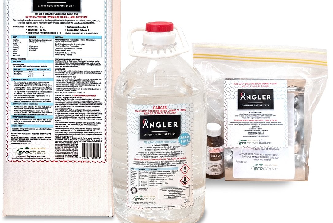 Angler trap targets Carpophilus beetle