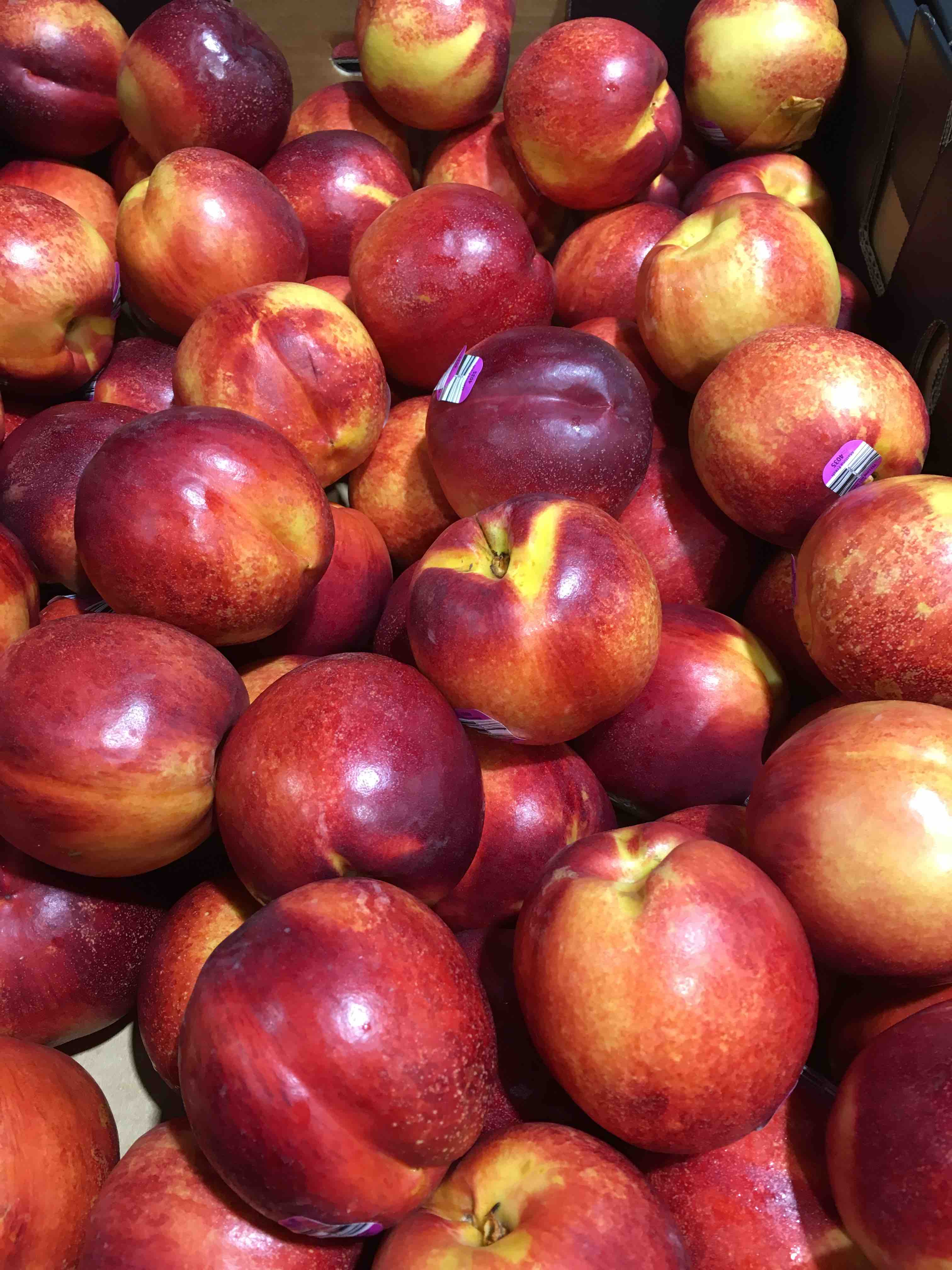 Avoid inking, skin burn and ‘gravel rash’ stains