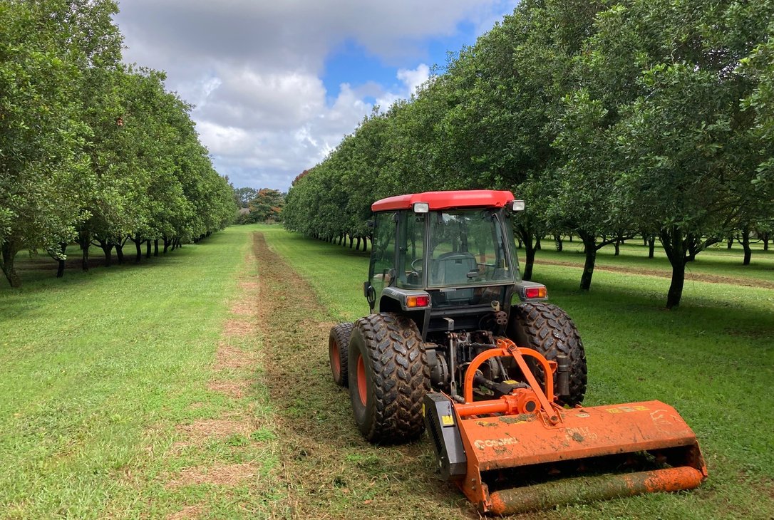 Orchard management the key to sustainability