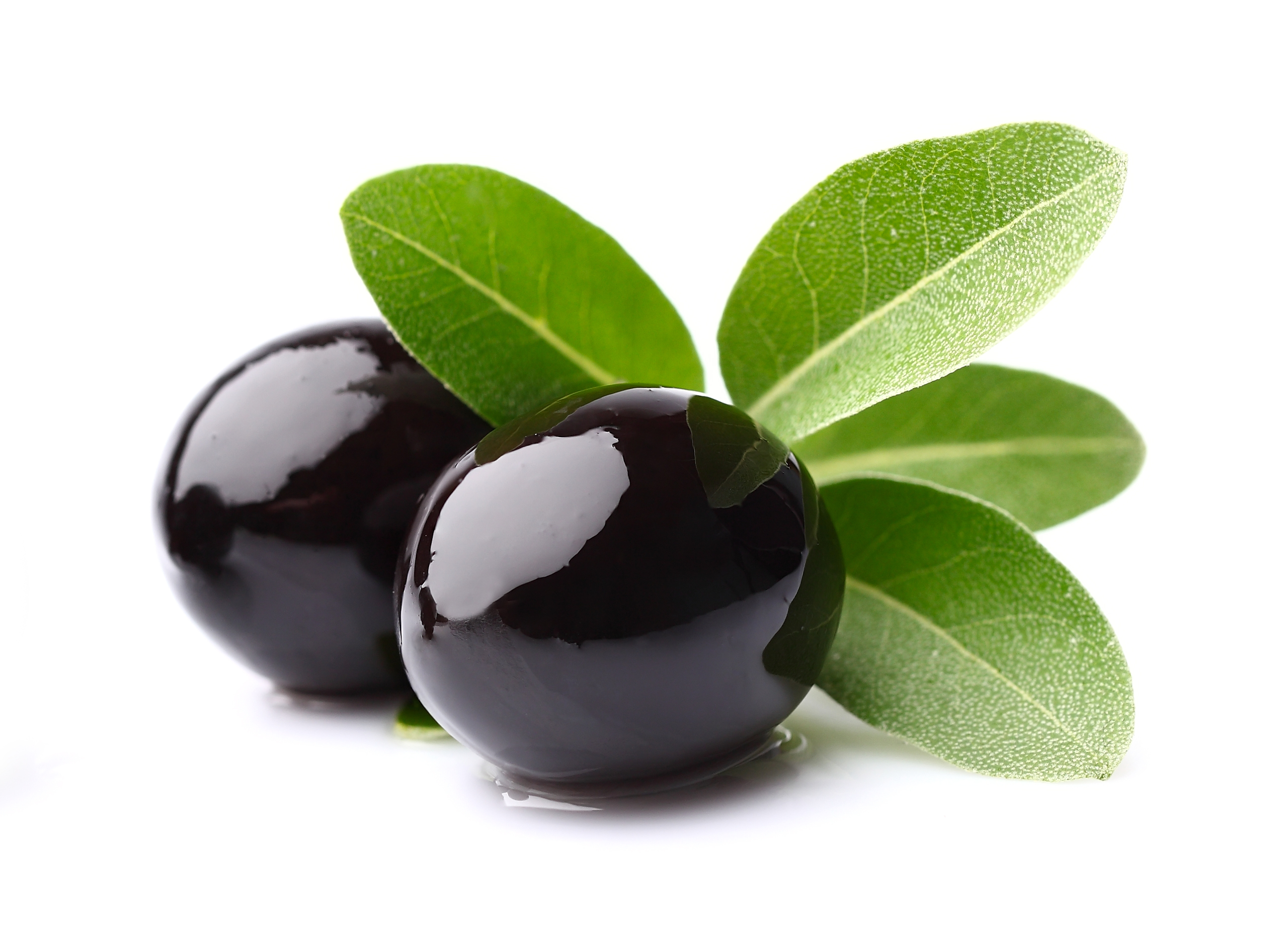 Compostable bioplastic from olive waste