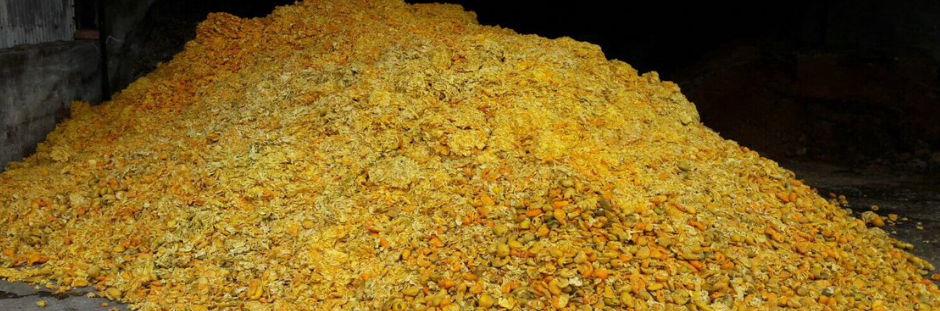 Citrus and grape by-products could serve as food preservatives