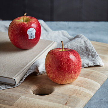 'Envy' 2020 season launched