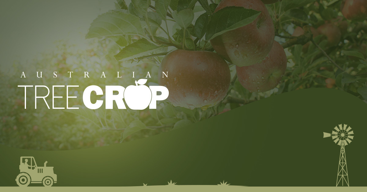 Australian Tree Crop - Tree Crop Dec '24/Jan '25